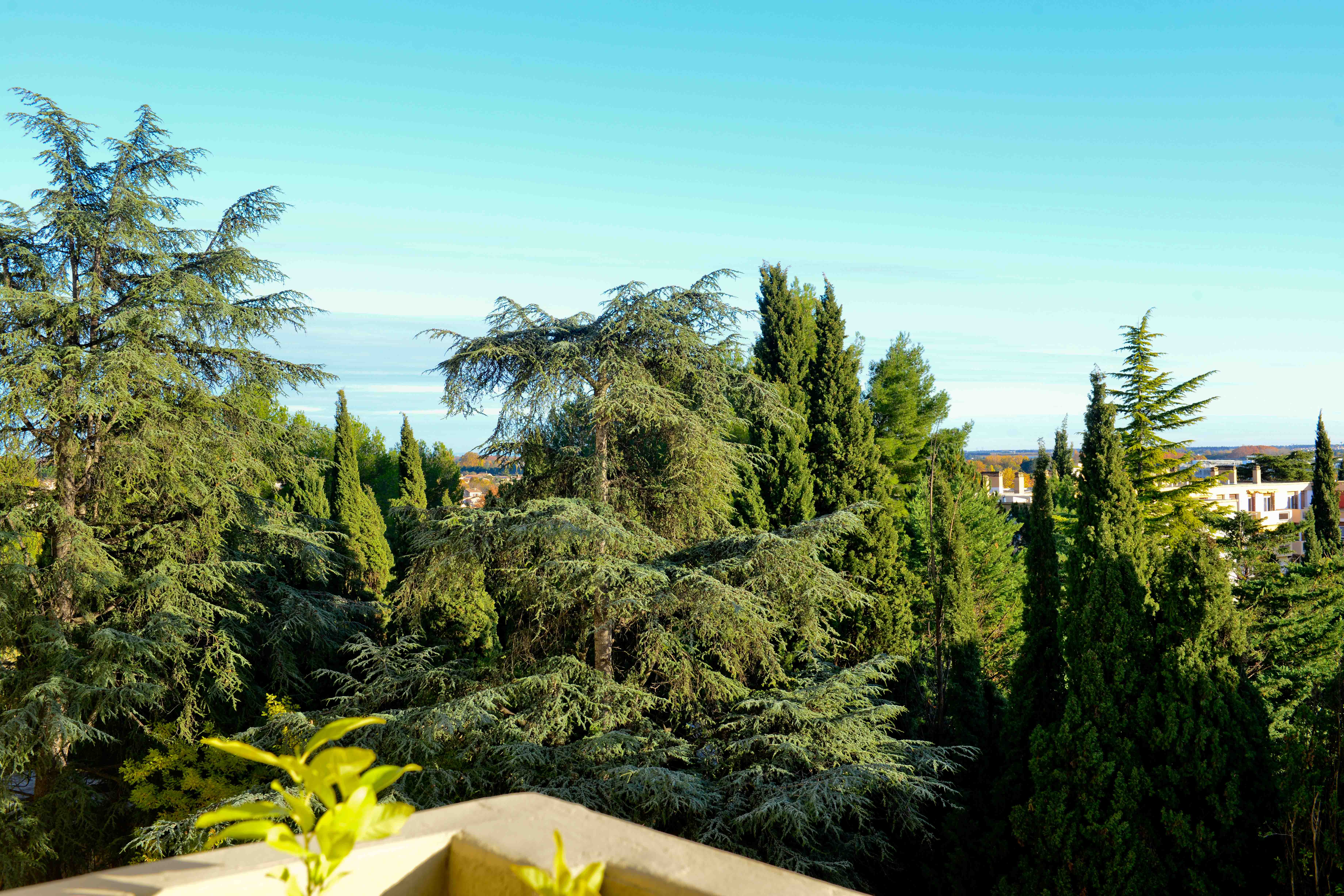 Vente Vente appartement 5 pieces 85m2 avec extérieur à Nîmes quartier ...